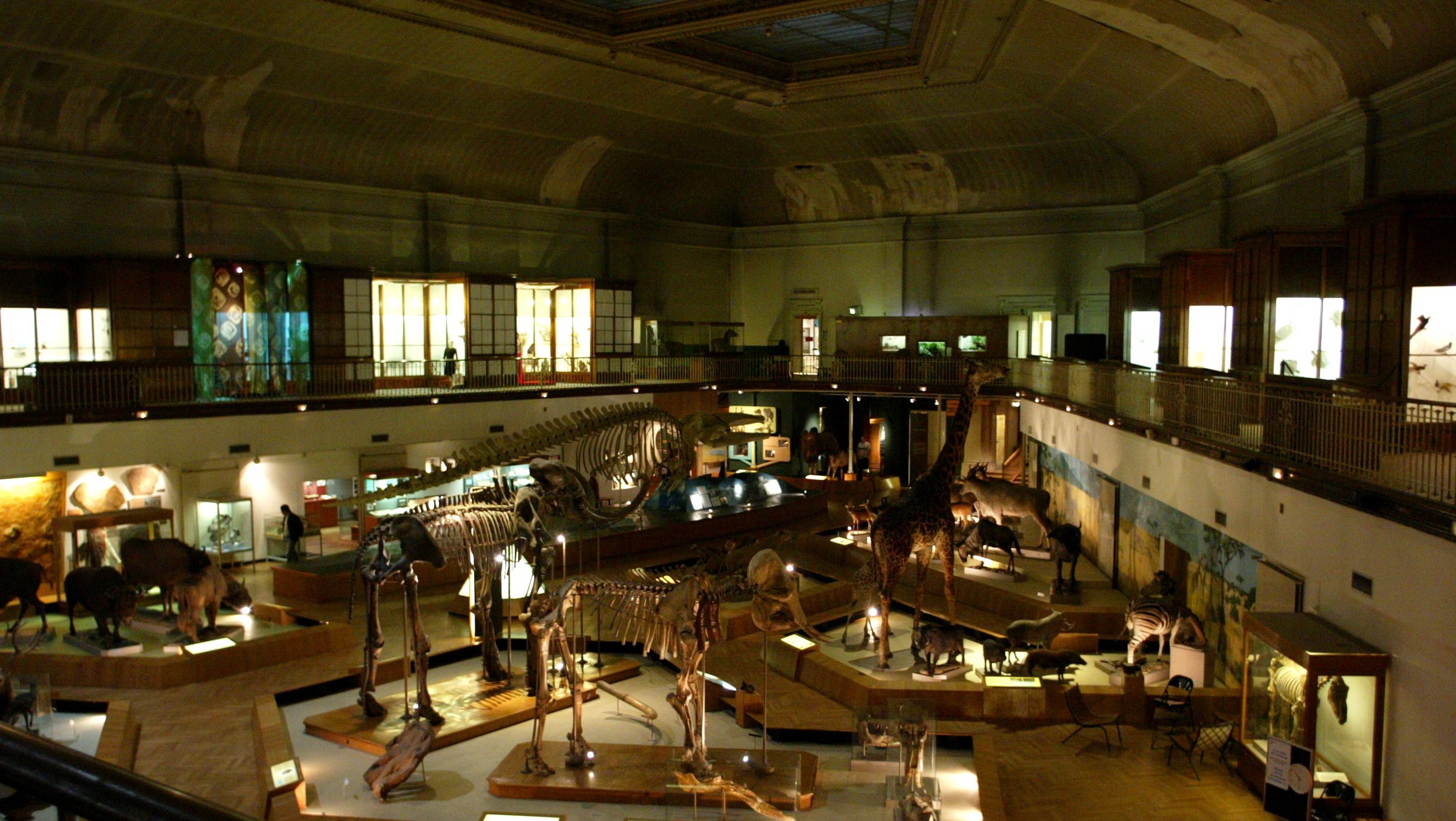 Musée Guimet | SECRET PARISIEN